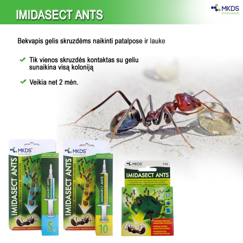 Imidasect Ants 1,4 g, gelinis insekticidas skruzdėms naikinti, MAXI pakuotė