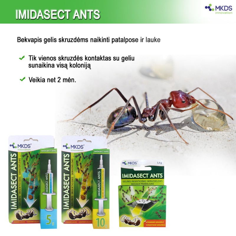 Imidasect Ants, 10 g, gelinis insekticidas skruzdėlėms naikinti